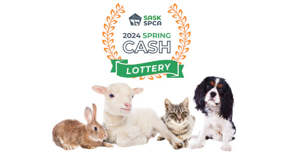 Order tickets for the 2024 Spring Cash Lottery | Raffle Nexus