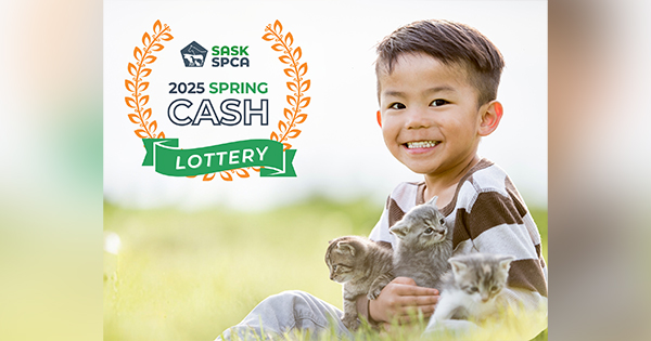 Order tickets for the 2025 Spring Cash Lottery | Raffle Nexus